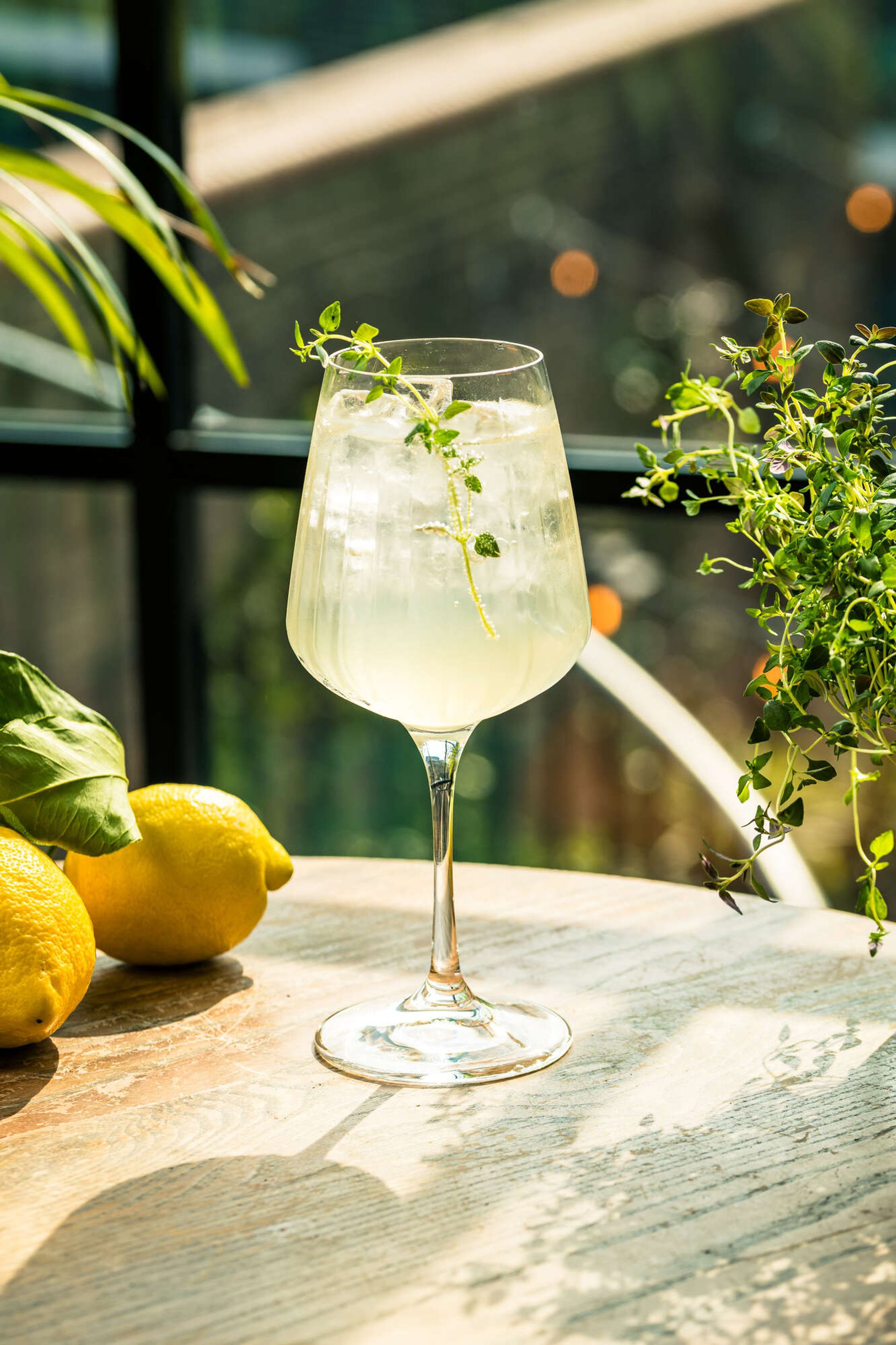 Clapham North | Best pub in SW London near Clapham North station